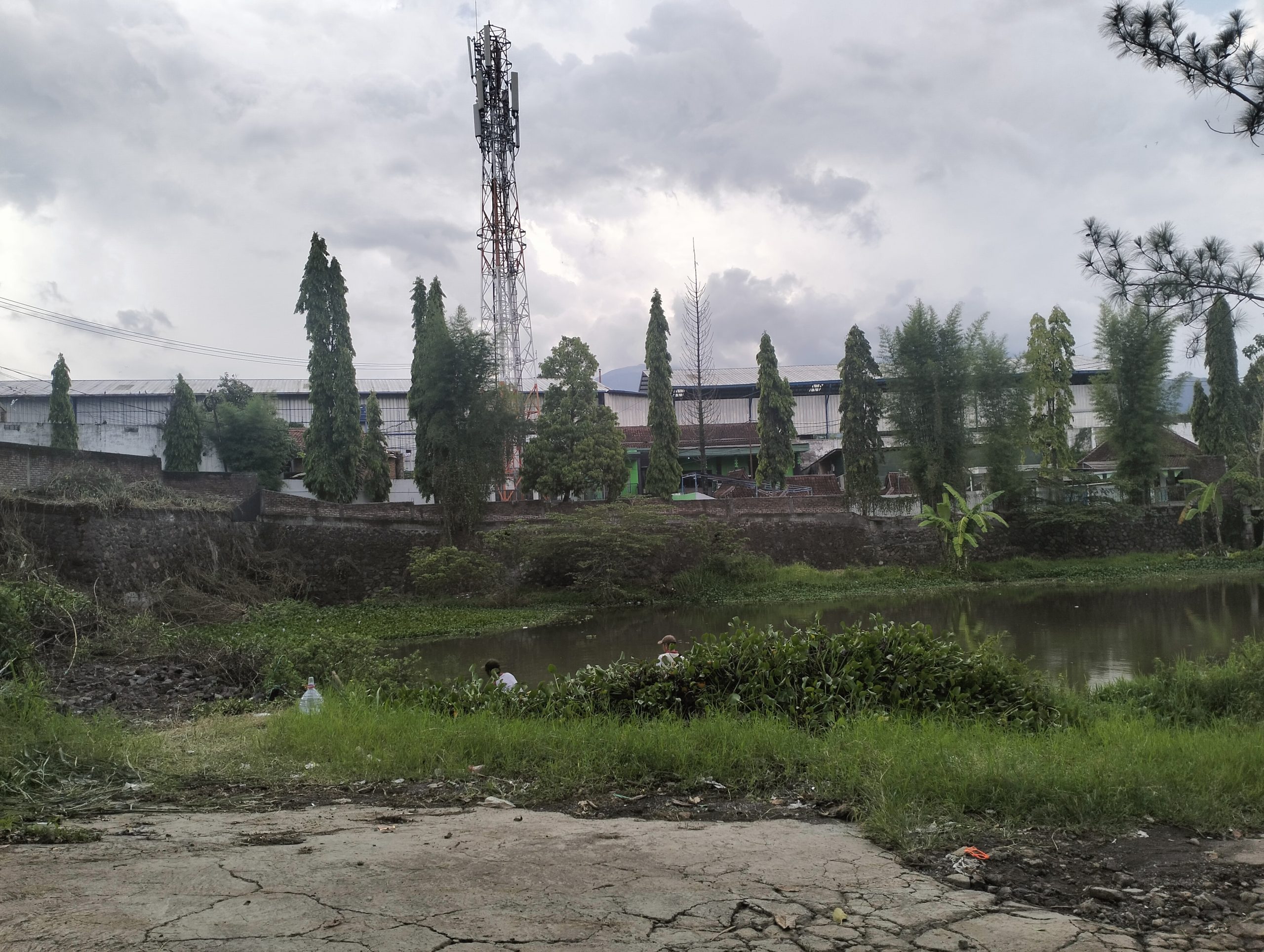 LIBAS Galang Aksi Bersih Kolam di Taman RTH Kehati untuk Menjaga ...